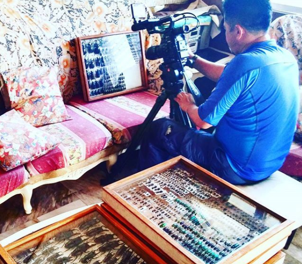 The Beetle Collector | Collectors Hive Blog