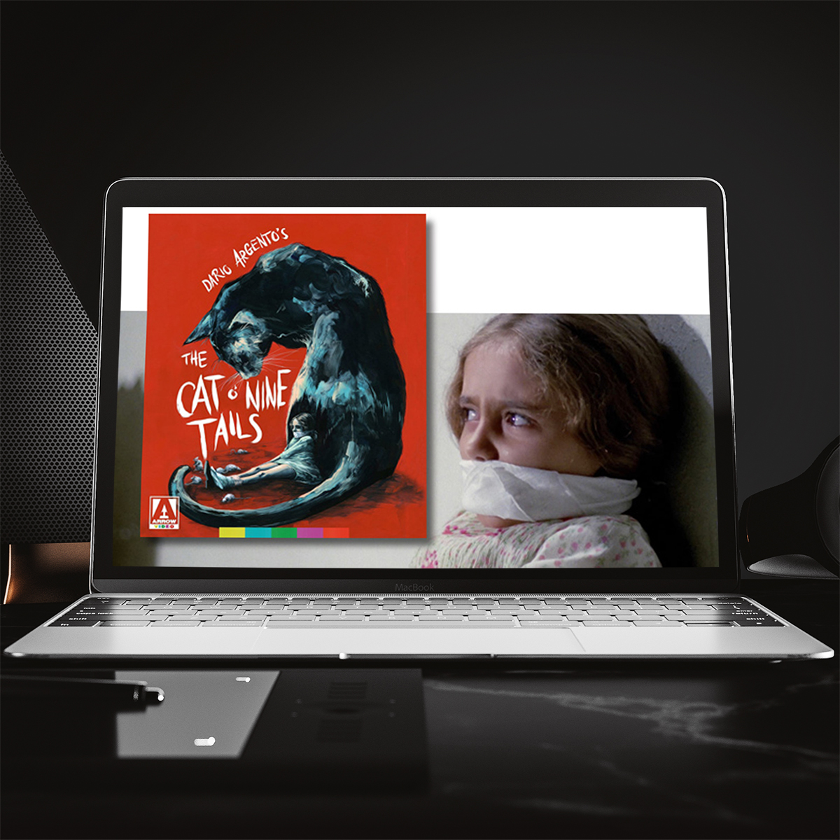 Gary Couto: Collecting Physical Media in a Digital World | Collectors ...